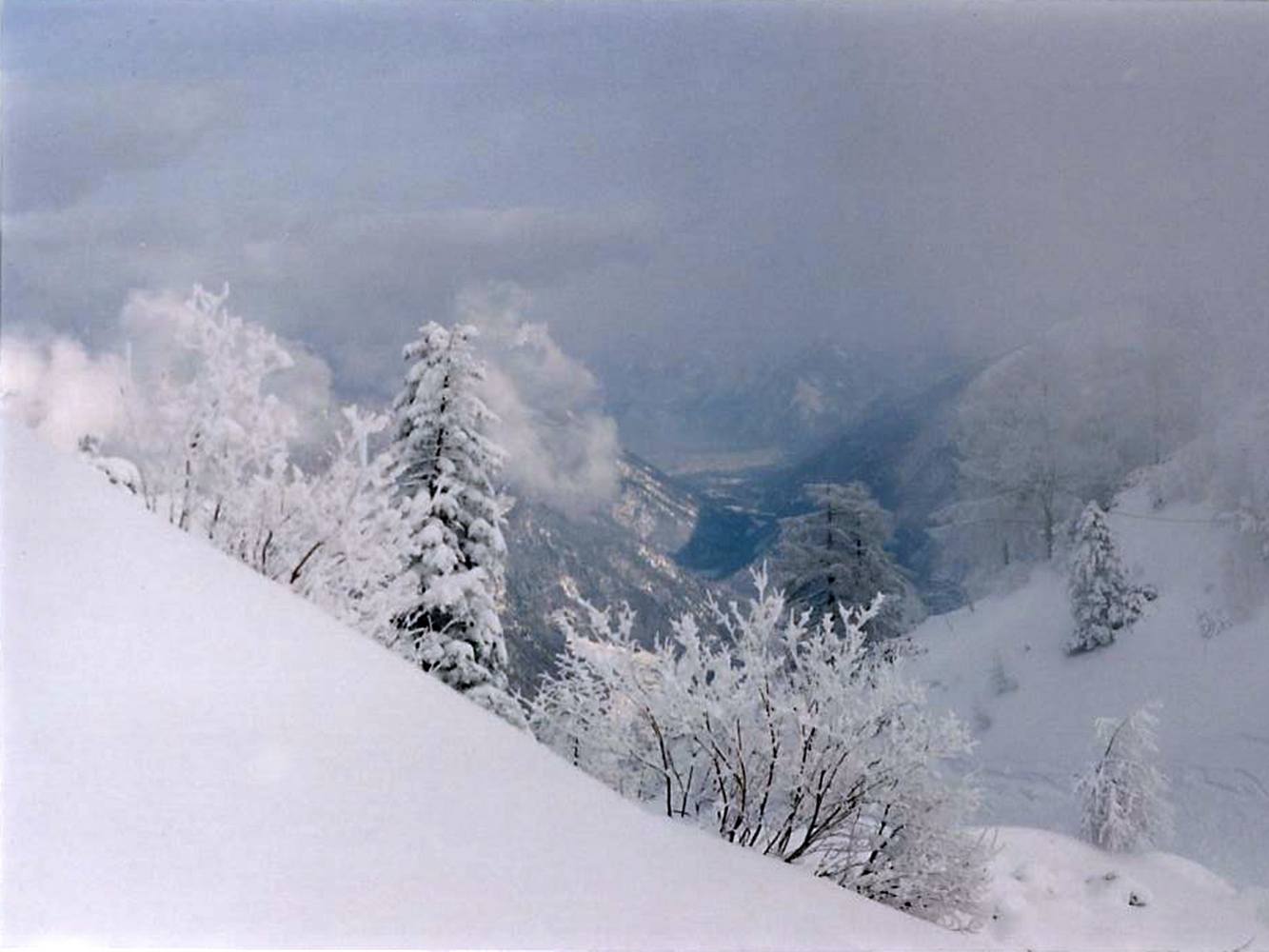 Winter / Discovery